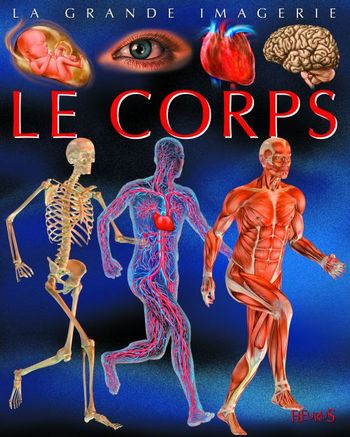COLLECTIF - Le Corps - Sexologie - Corps humain - LIVRES - Renaud-Bray ...