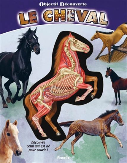 COLLECTIF - Le Cheval - Animaux - LIVRES - Renaud-Bray.com - Livres ...