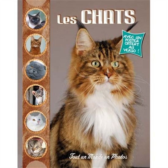 COLLECTIF - Les Chats - Animaux - LIVRES - Renaud-Bray.com - Livres ...