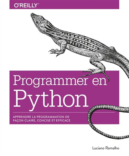 LUCIANO RAMALHO - Programmer avec Python - Informatique - LIVRES ...