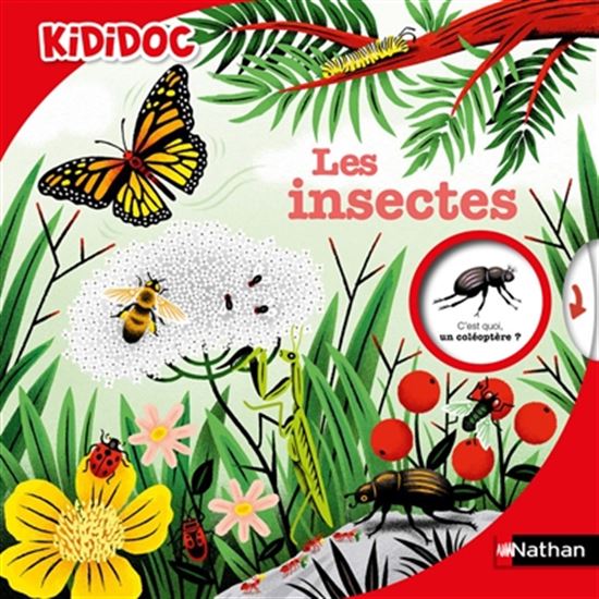 COLLECTIF - Les Insectes - Documentaires divers 5-9 ans - LIVRES ...
