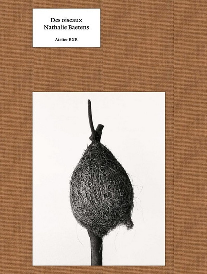 NATHALIE BAETENS - Des oiseaux N. éd. - Photographie - LIVRES - Renaud ...