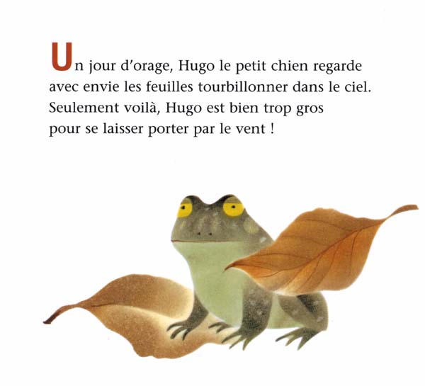 KEN KUROI - HISAKO MADOKORO - Hugo dans le vent - Albums illustrés ...